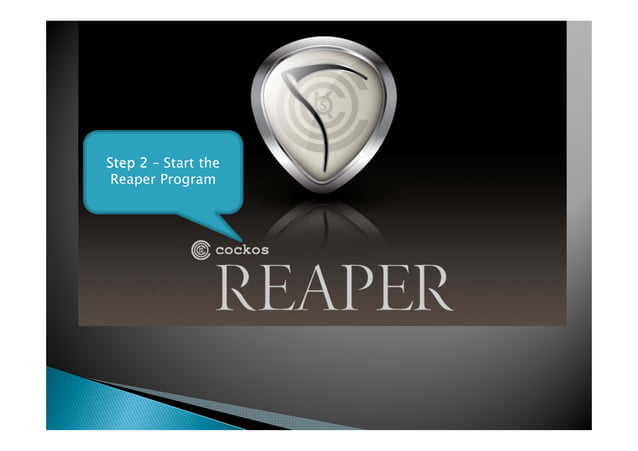 How to record voice using Reaper | PDF