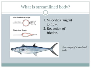 The pioneer of modern aircraft design | PPTX | Physics | Science