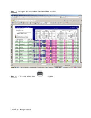How to Run a TPRI Report | PDF