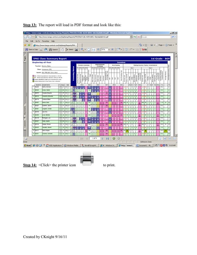 How to Run a TPRI Report | PDF