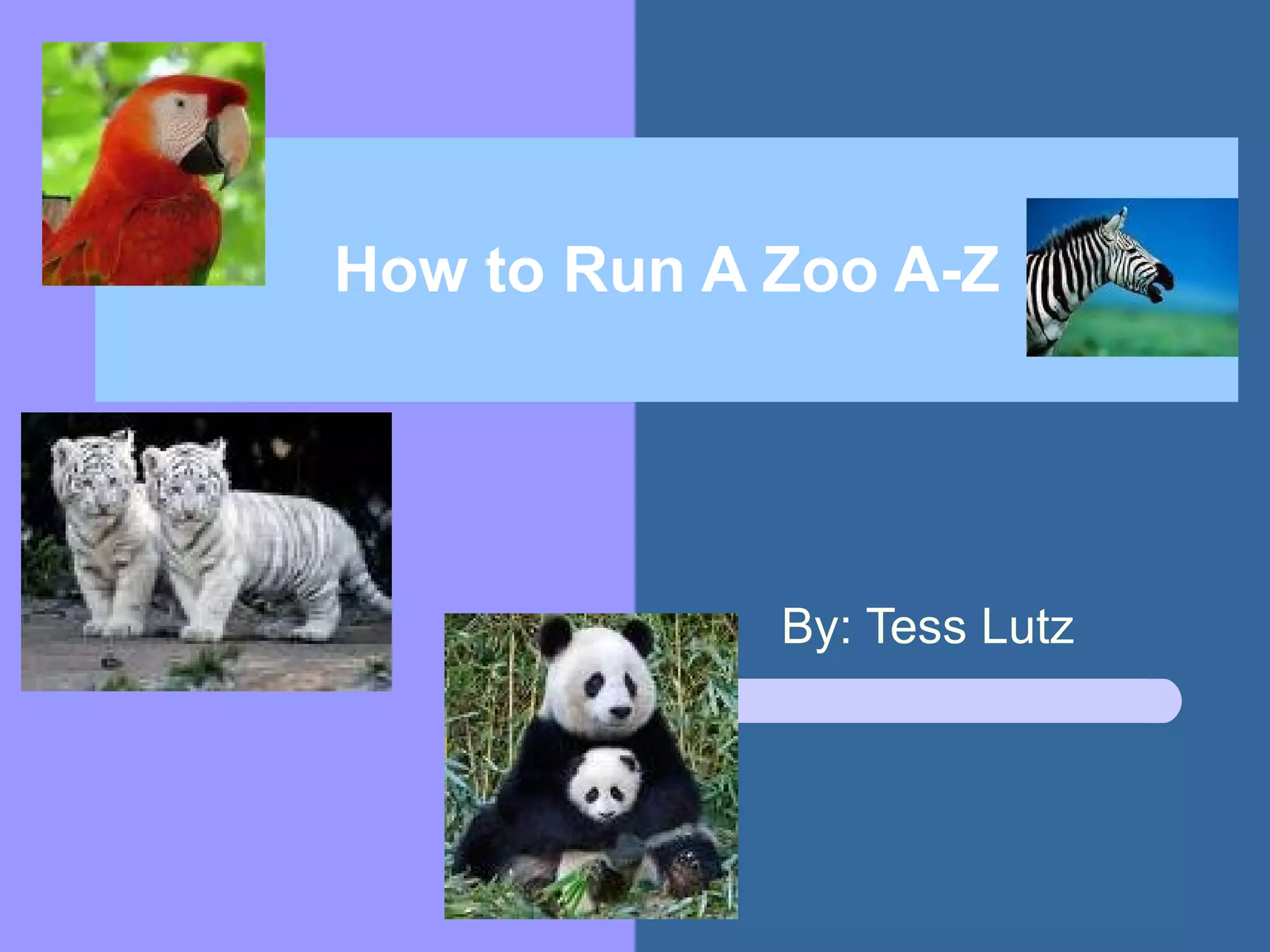How To Run A Zoo A Z | PPT | Zoos & Aquariums | Attractions