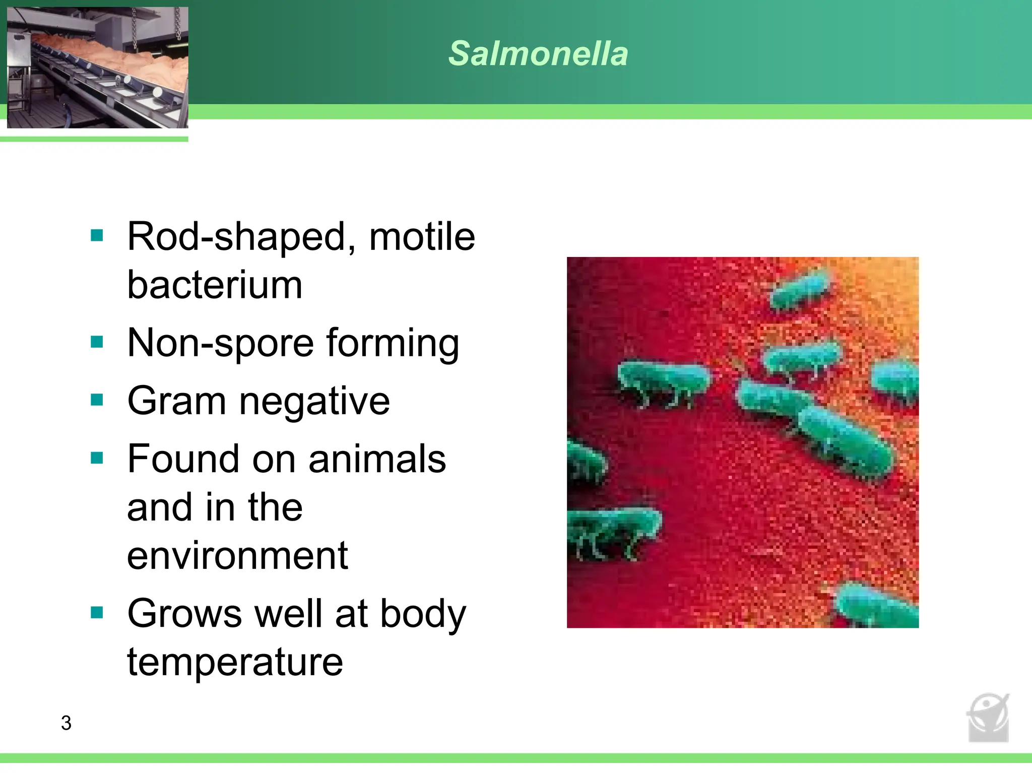 how_to_salmonella...,..................pdf