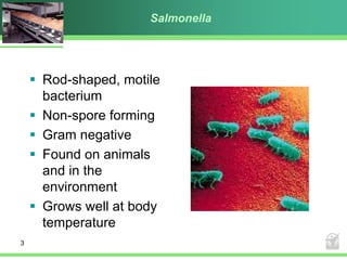 how_to_salmonella...,..................pdf | Free Download