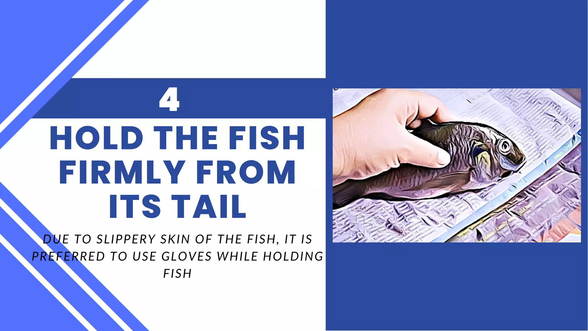 How to scale a fish-Fishingsidelife.pdf