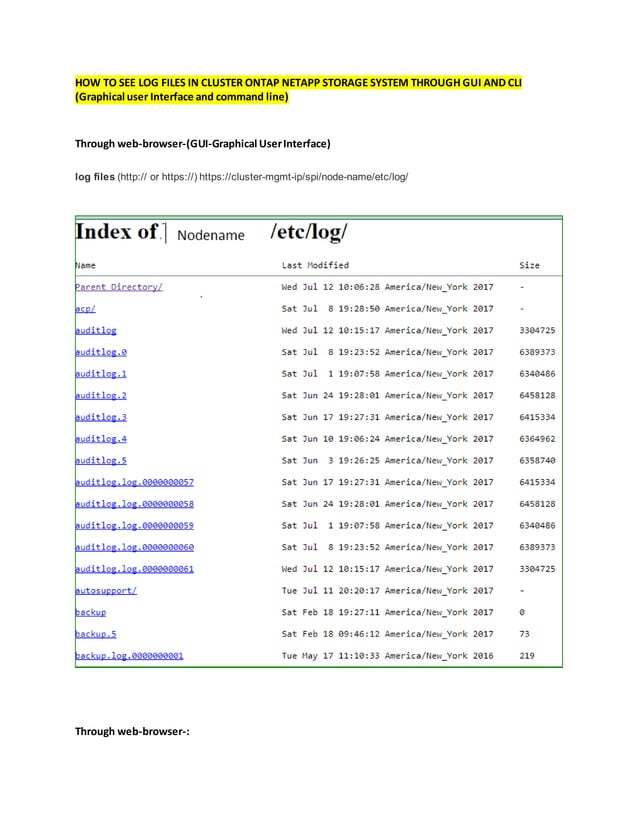 How to see the log files through ( gui and cli) in cluster ontap netapp storage system | PDF