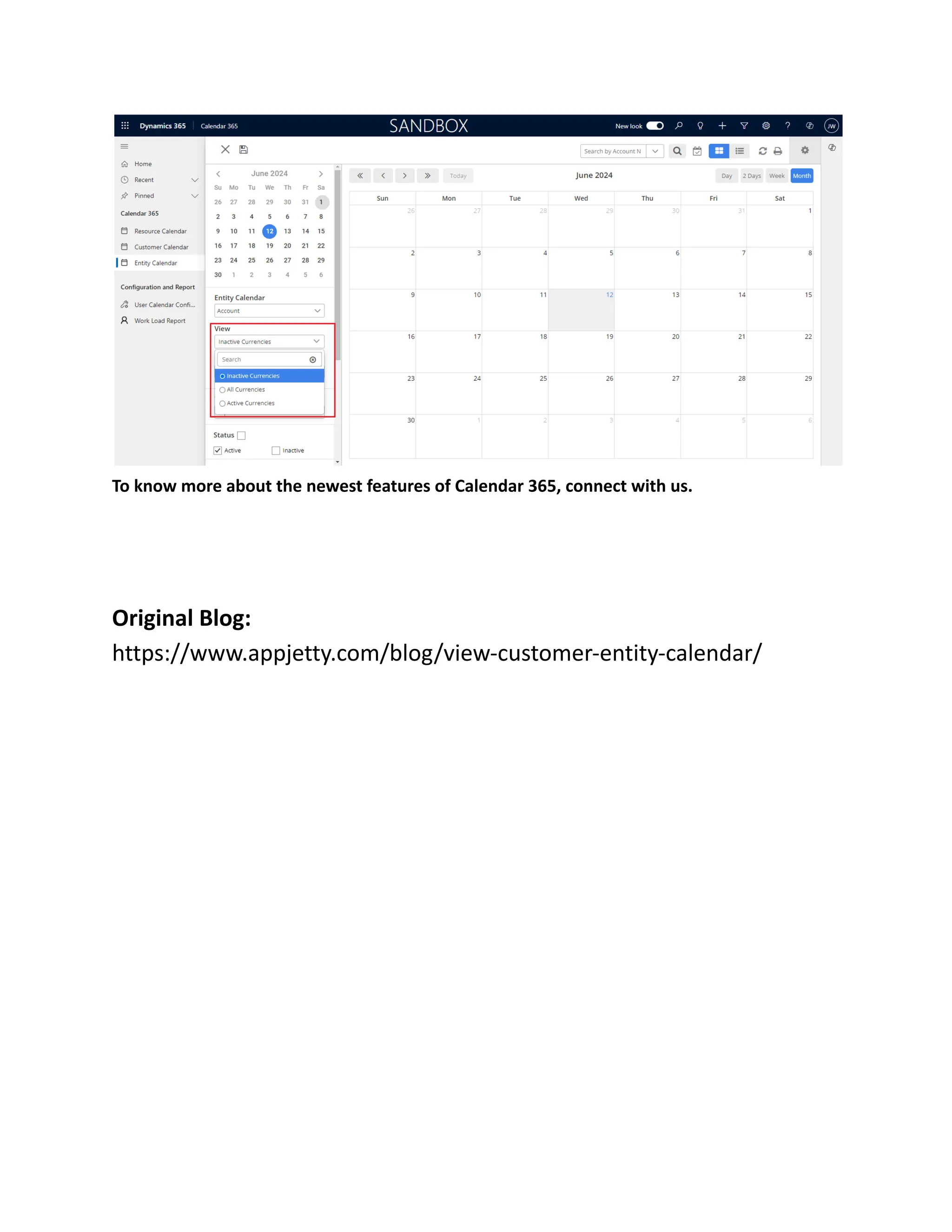 How To Select Views In Customer And Entity Calendar In Calendar 365pdf