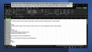 How to Separate Data in an Excel Column.pptx