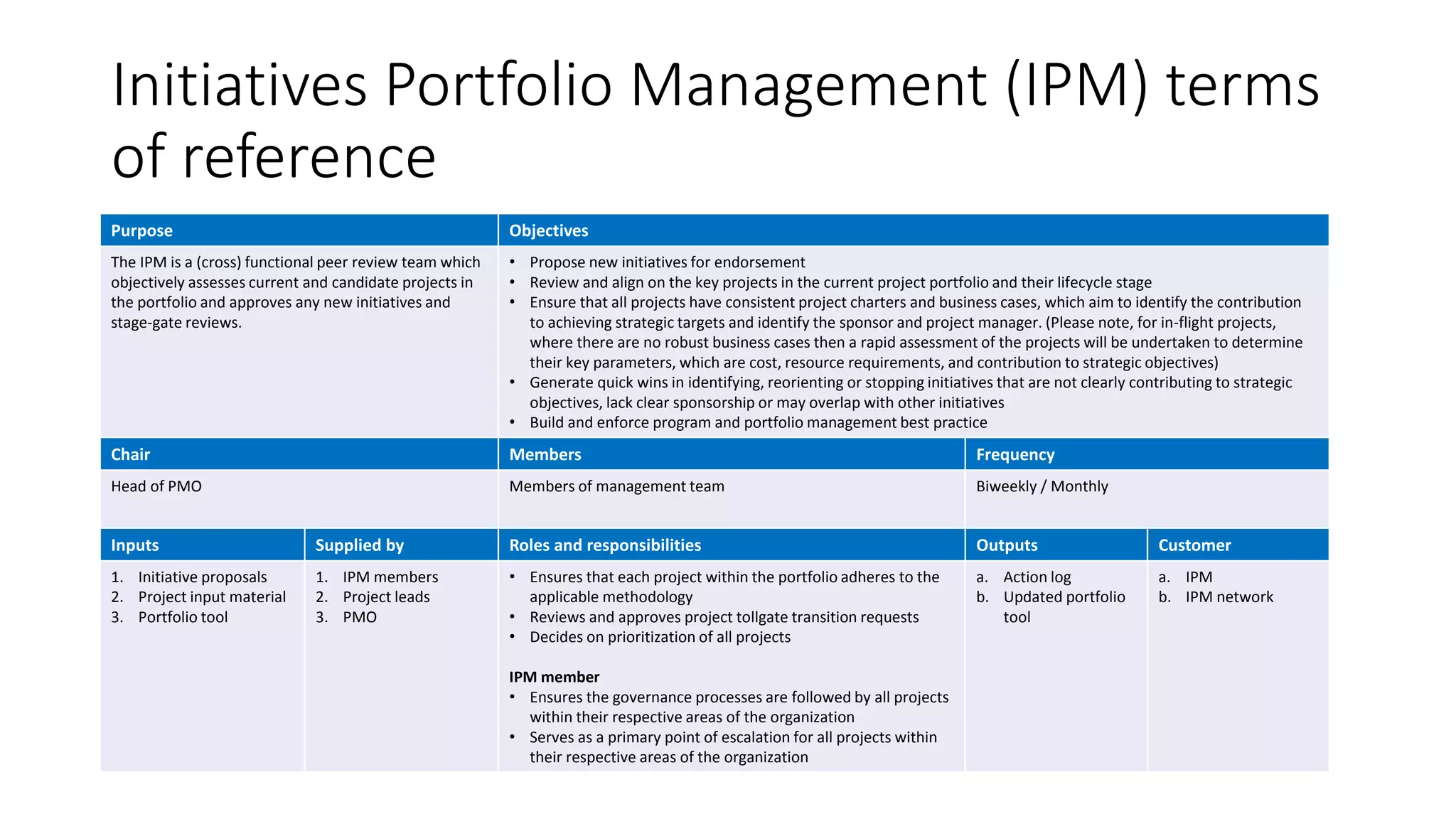 How to set up initiatives portfolio management | PDF