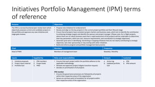 How to set up initiatives portfolio management | PDF