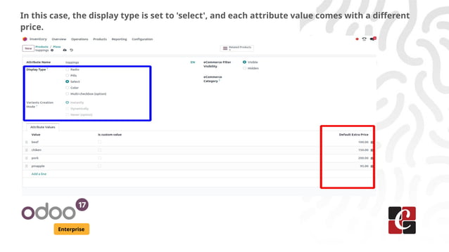 How to Set Display Type Select in Odoo 17 | PPT