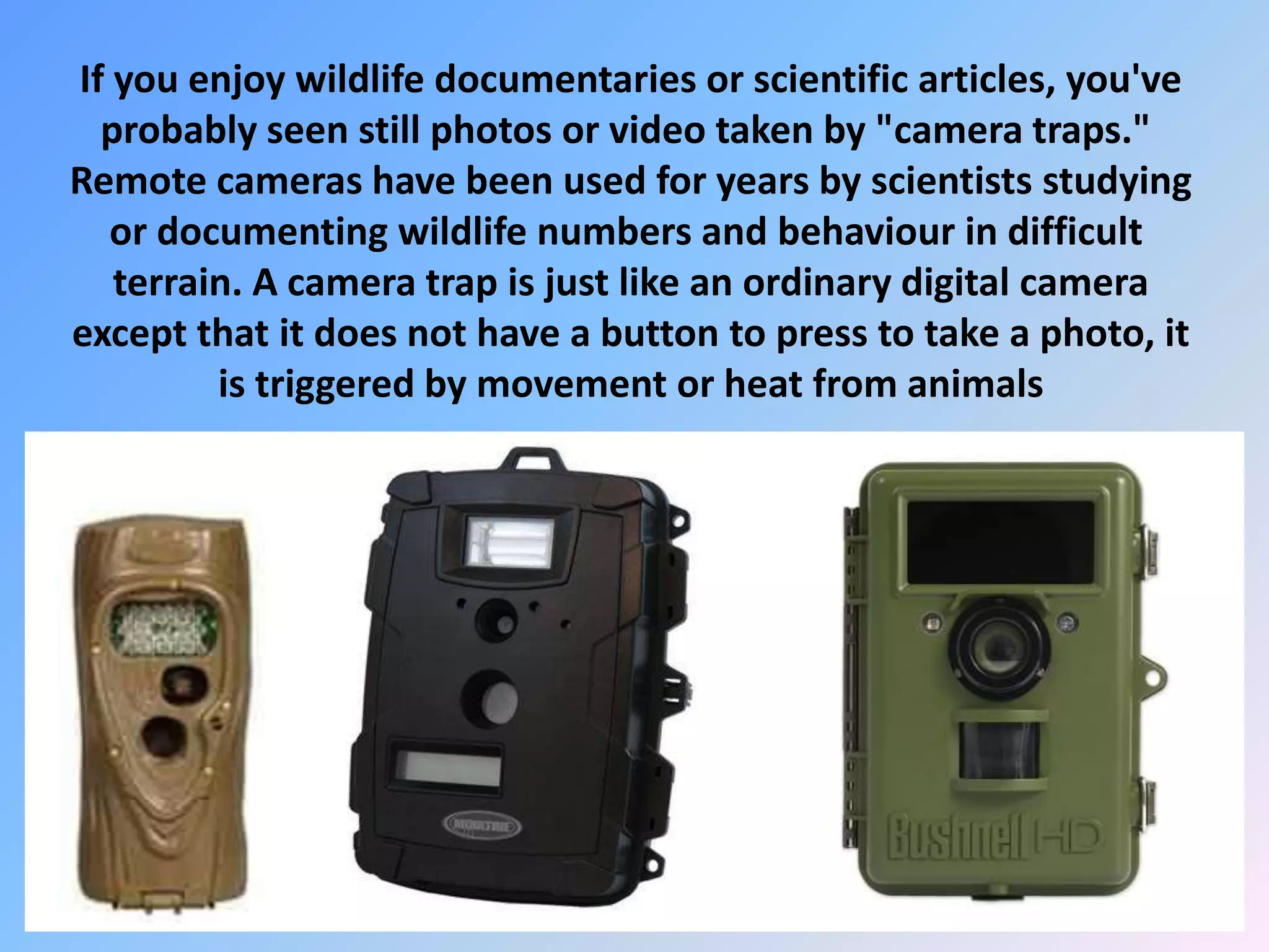 HOW TO SET UP A CAMERA TRAP | PPTX