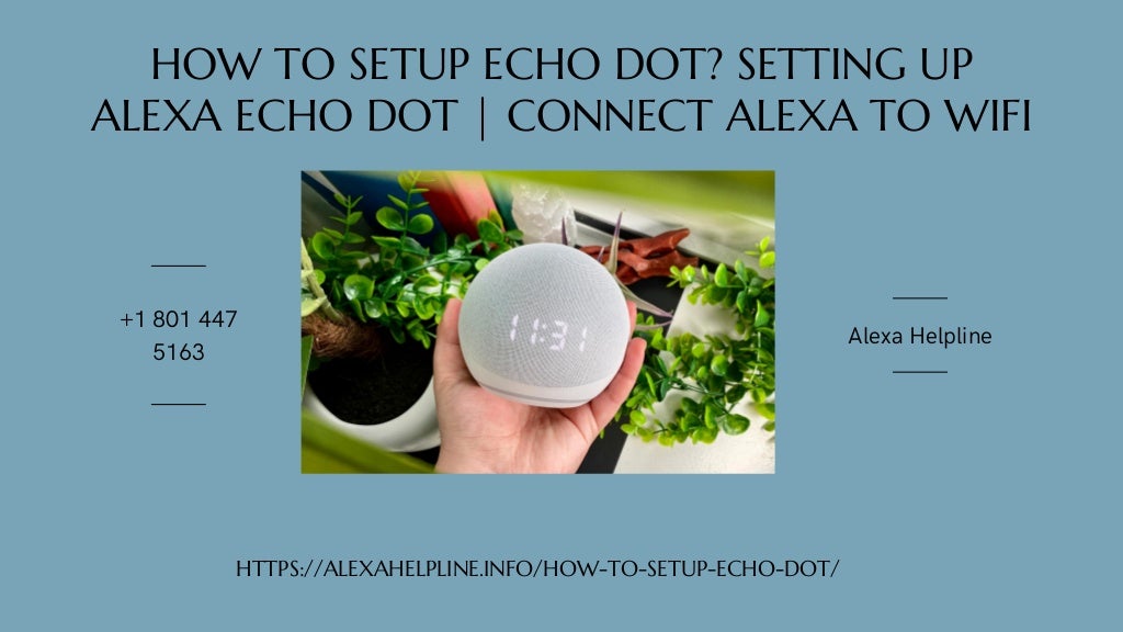 How To Setup Echo Dot Instantly 1 8014475163 Setup Alexa Echo Dot Help How To Setup Echo Dot Instantly 1 8014475163 Setup Alexa Echo Dot Help