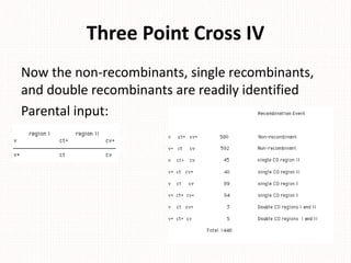 How to solve linkage map problems | PPTX