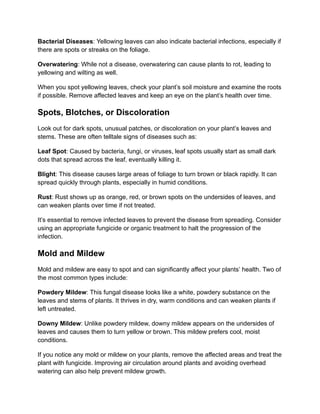 How to Spot Early Signs of Plant Diseases in Your Yard.pdf