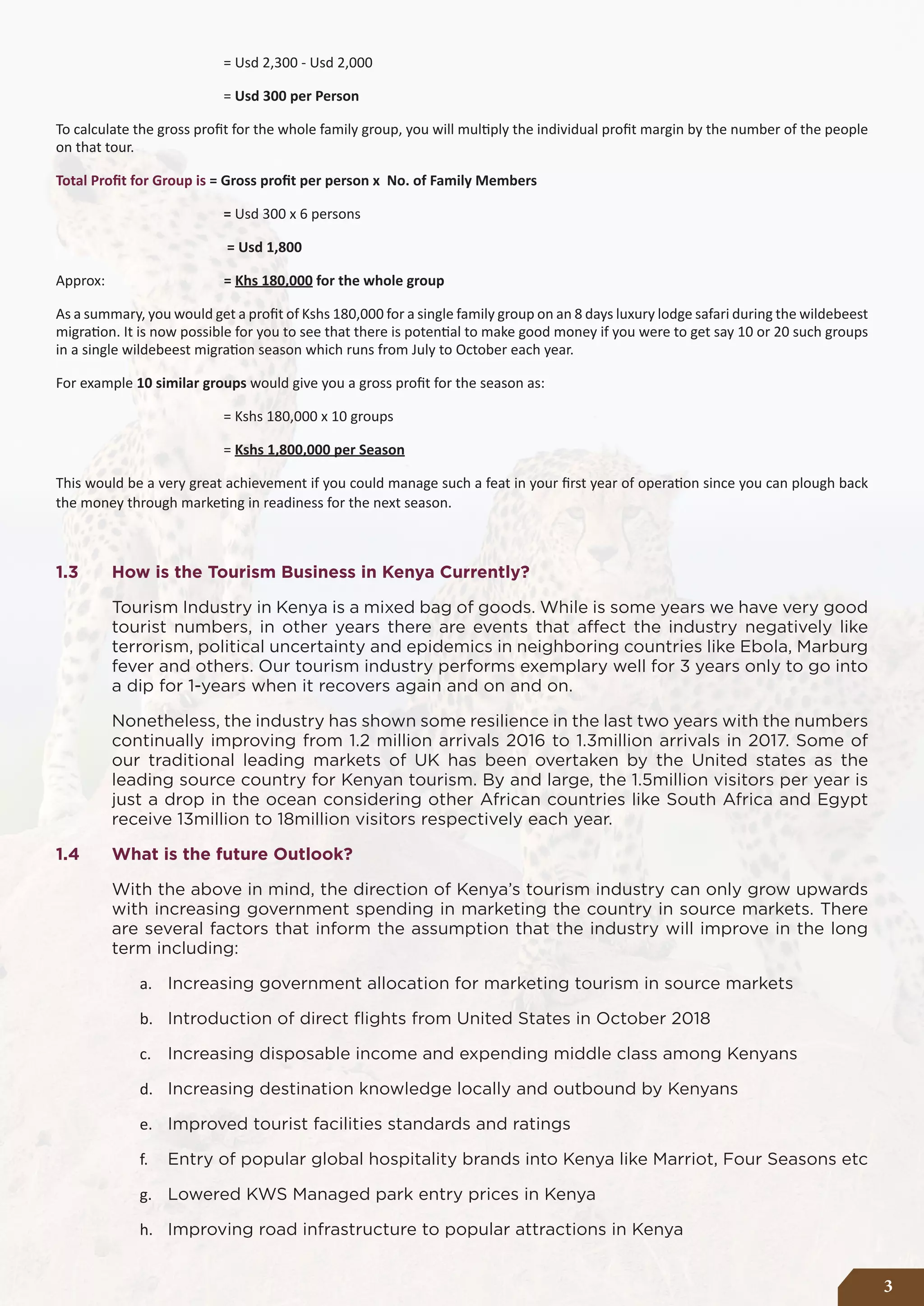 Start a Tour Company Business in Kenya, Nairobi | PDF