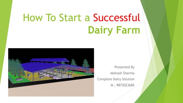 How to start a successful dairy farm | PDF