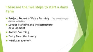 How to start a successful dairy farm | PDF