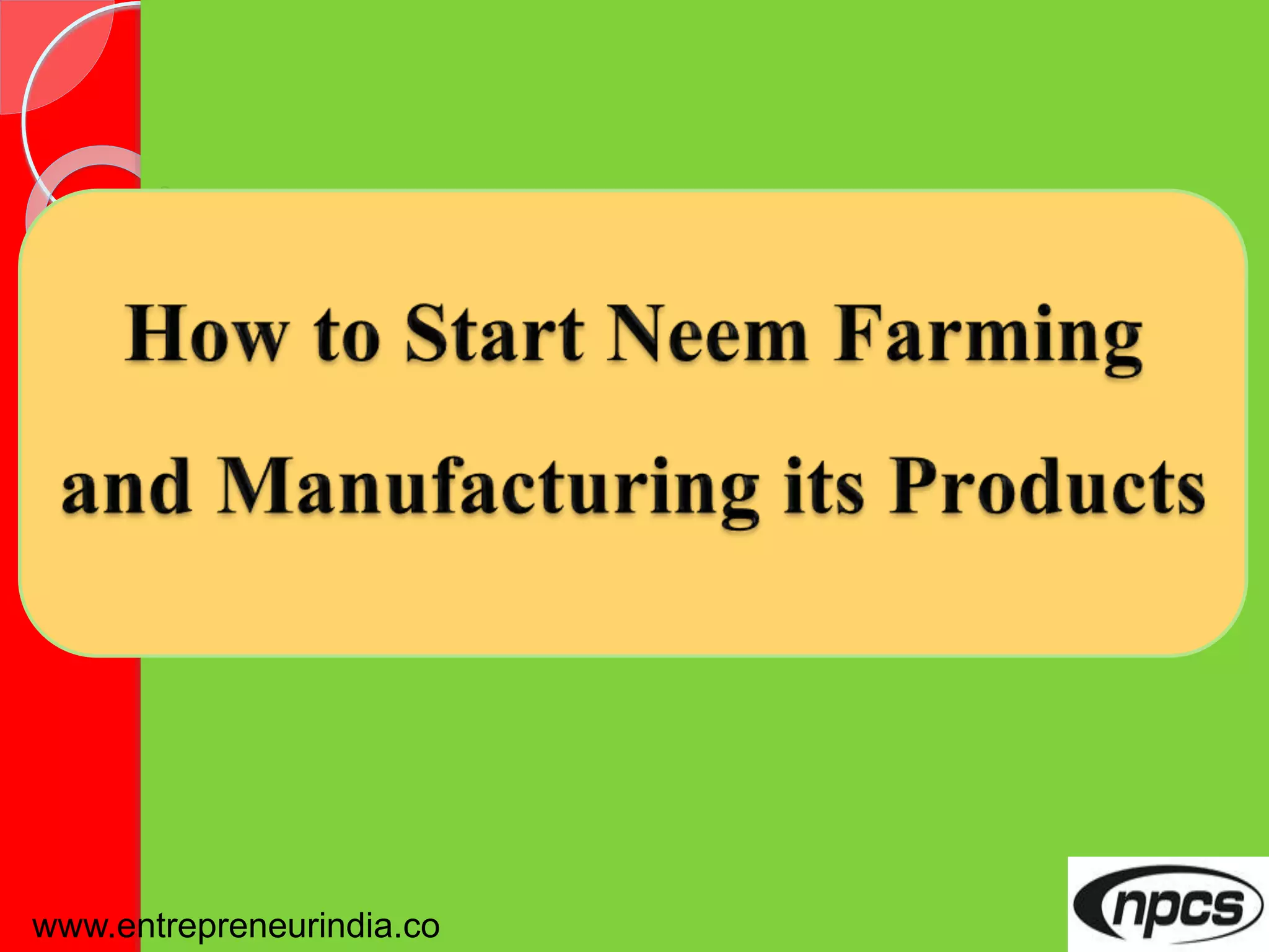 How to Start Neem Farming and Manufacturing its Products | PPTX ...