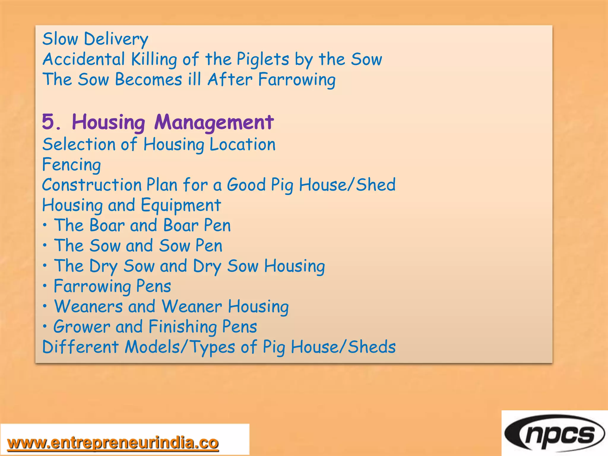How to Start Pig Farming and Pork Processing Business, Piggery Business ...