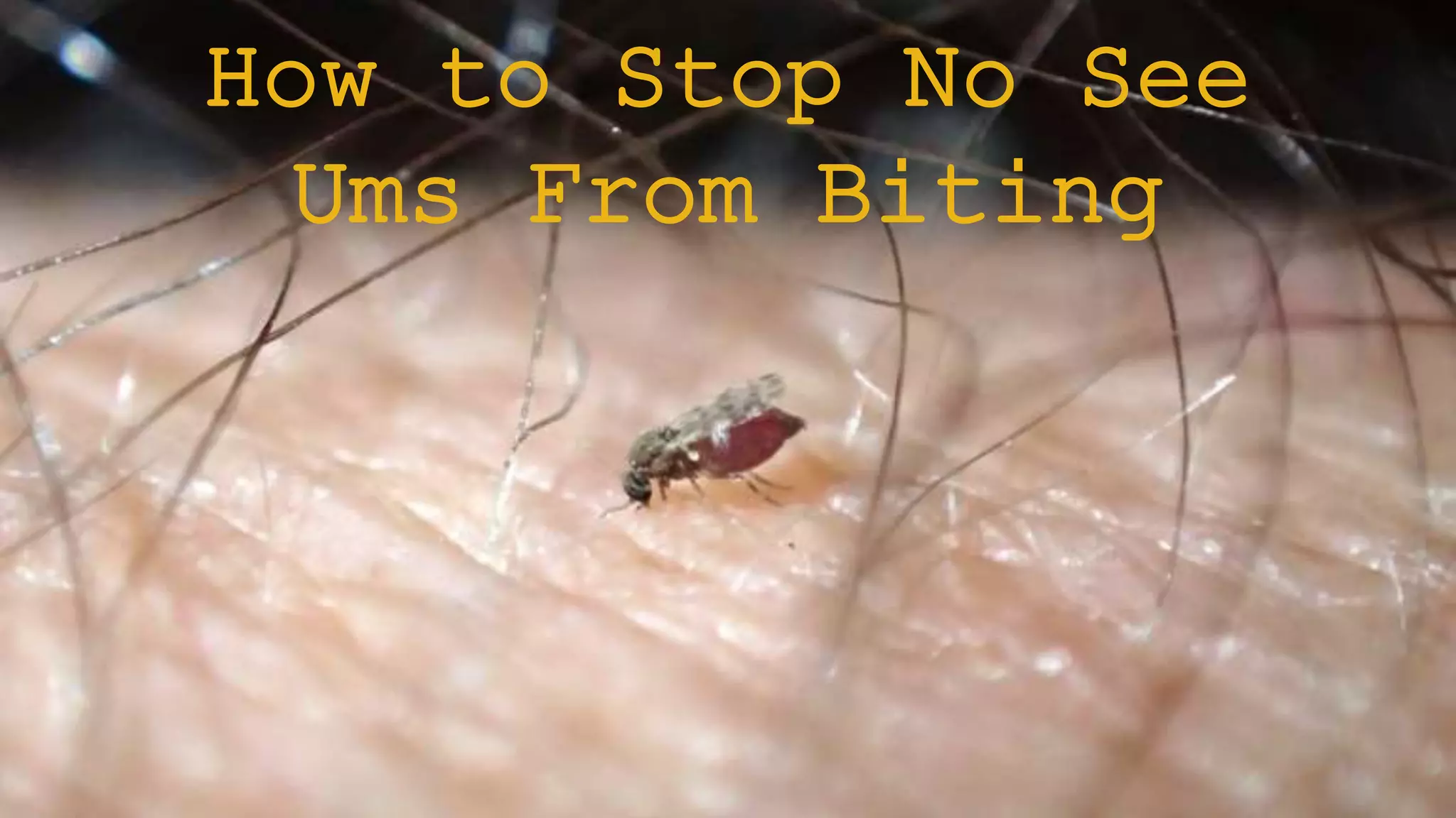 How to Stop No See Ums From Biting | PPTX