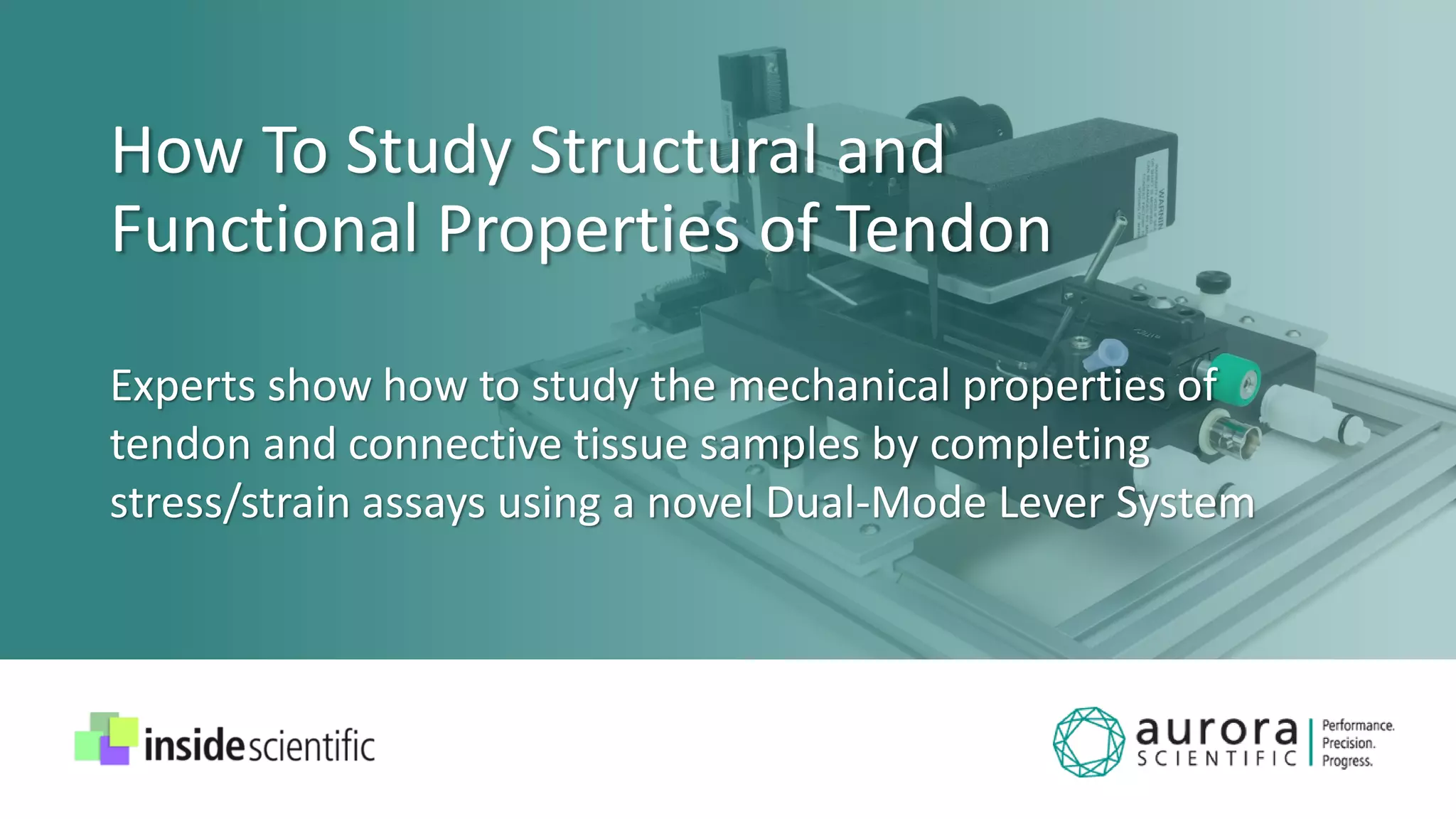 How To Study Structural and Functional Properties of Tendon | PPT