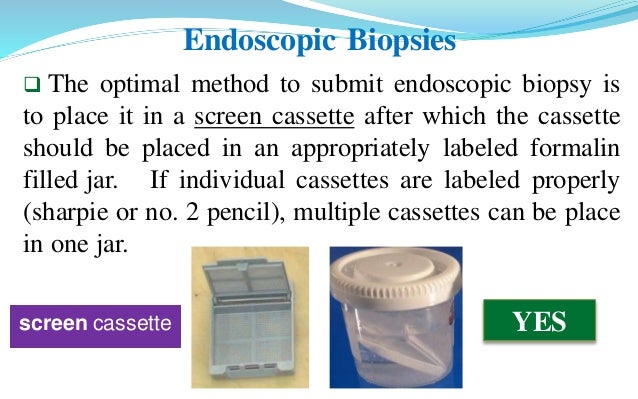 How To Submit Biopsy Specimens For Histopathology