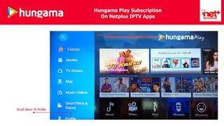 subscribe hungama on netplus broadband and netplus iptv | PPT