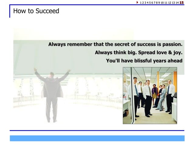 How To Succeed 15 Point Program | PPS