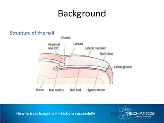 How to successfully treat fungal nail infections - GP Workshop Summary ...