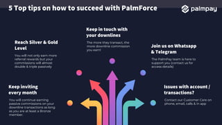 How to Succeed on PalmPay PalmForce | PPTX