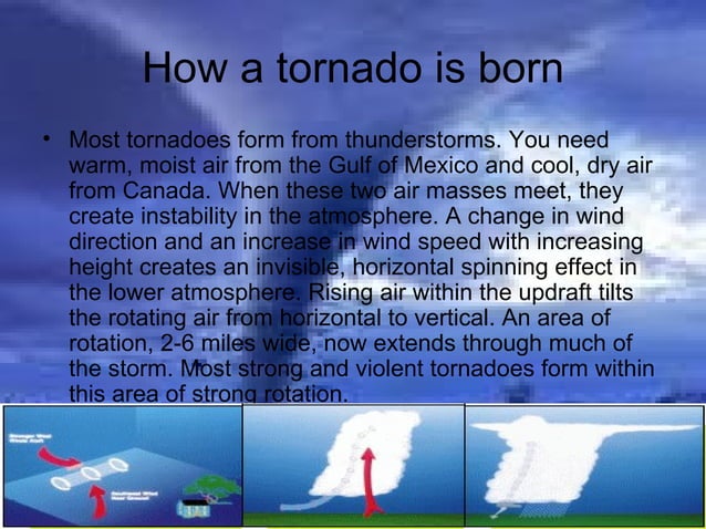 How to survive a tornado | PPT
