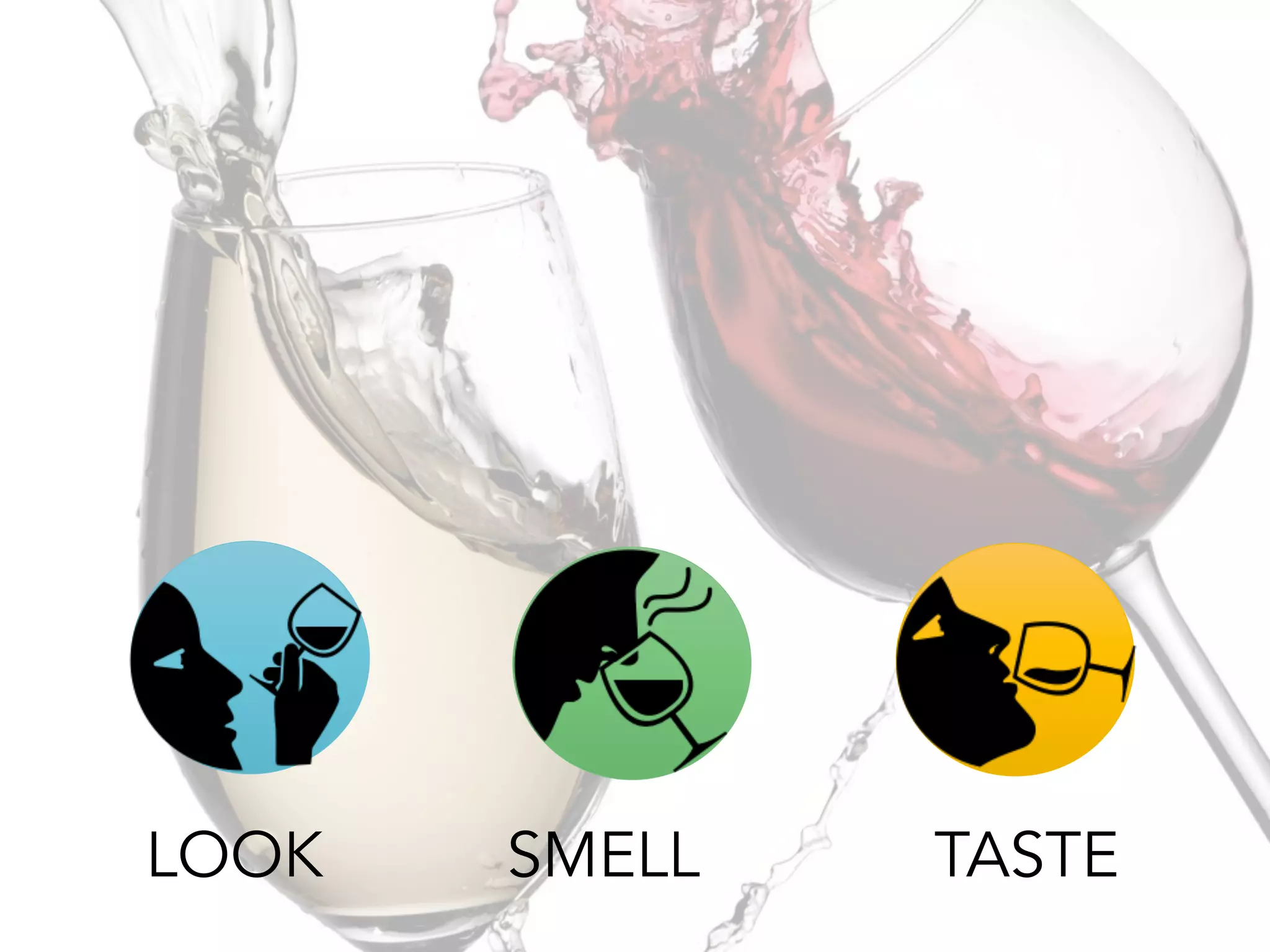 HOW TO TASTE WINE - SAMPLE OF PRESENTATION | PDF