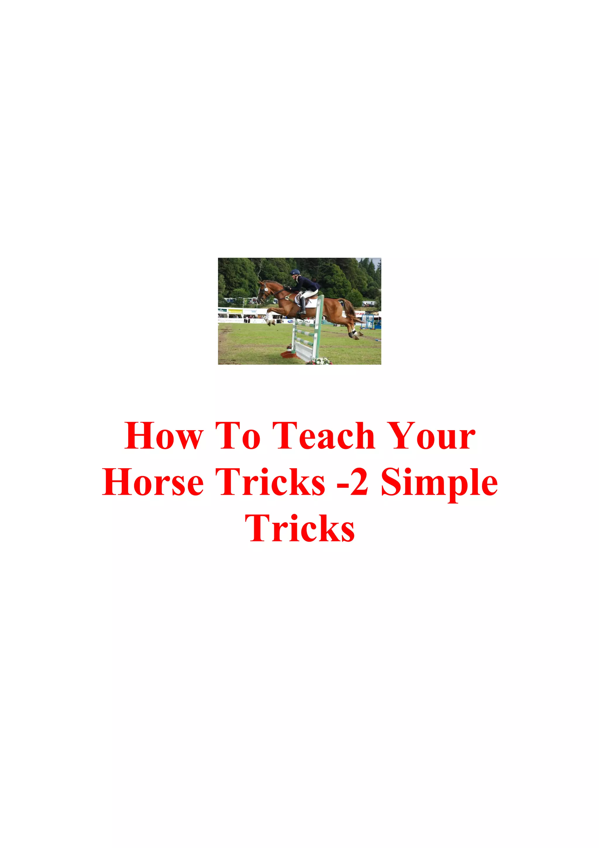 How To Teach Horse Tricks | PDF