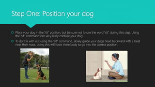 How to Teach Your Dog to "Sit Pretty" | PPT