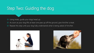 How to Teach Your Dog to "Sit Pretty" | PPT