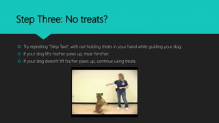 How to Teach Your Dog to "Sit Pretty" | PPT