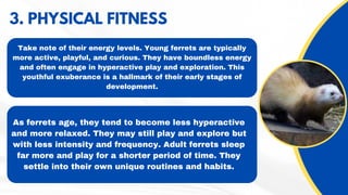How To Tell How Old A Ferret Is.pdf