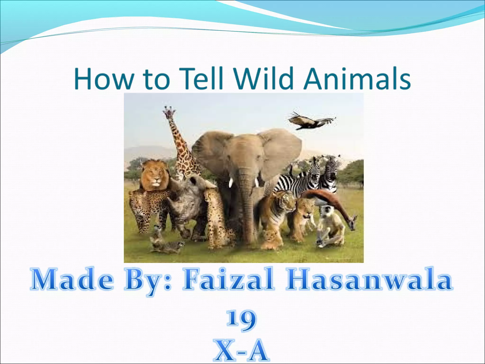 How to tell wild animals | PPT