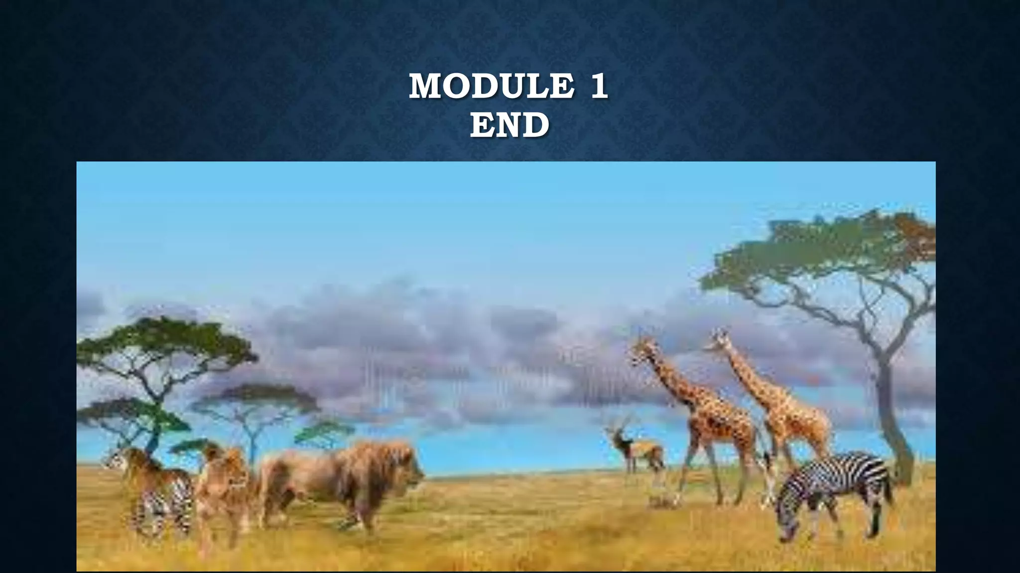 HOW TO TELL WILD ANIMALS Module 1.pptx
