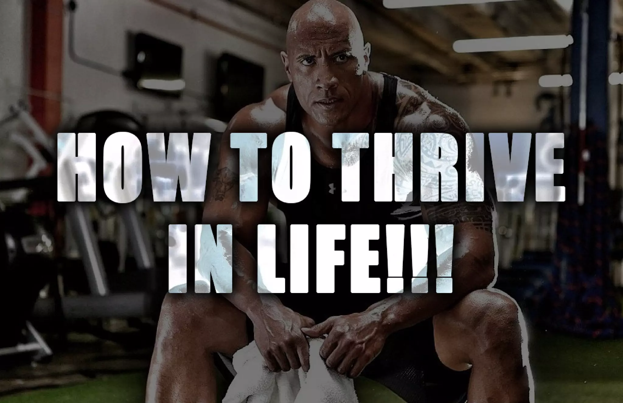 How to thrive in life! | PDF