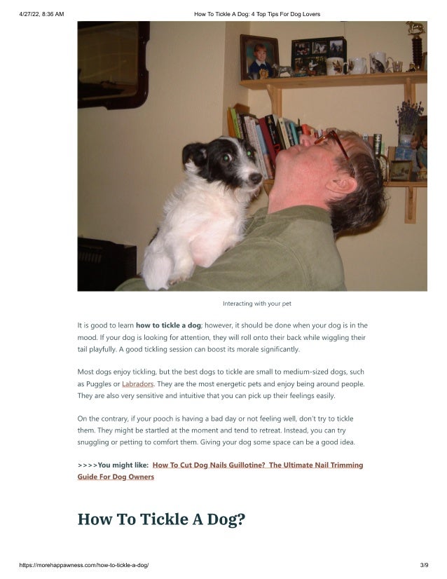 How To Tickle A Dog_ 4 Top Tips For Dog Lovers.pdf