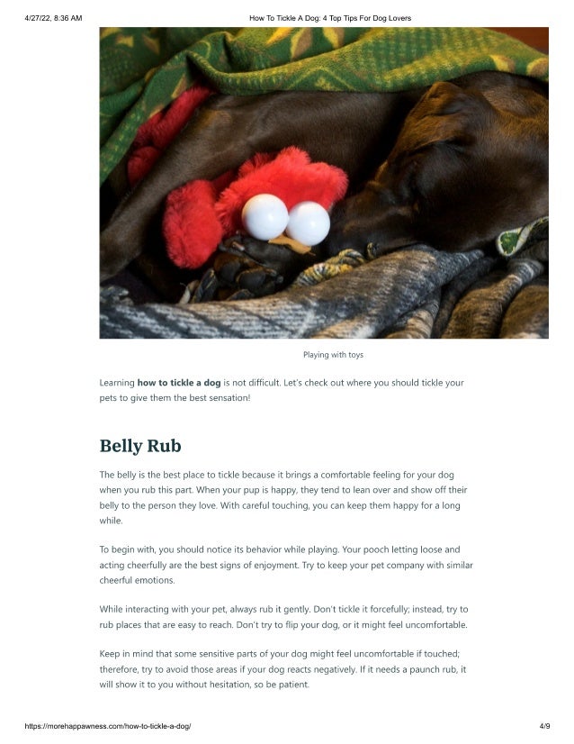 How To Tickle A Dog_ 4 Top Tips For Dog Lovers.pdf