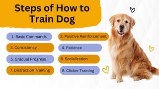 How to Train Dog | PDF