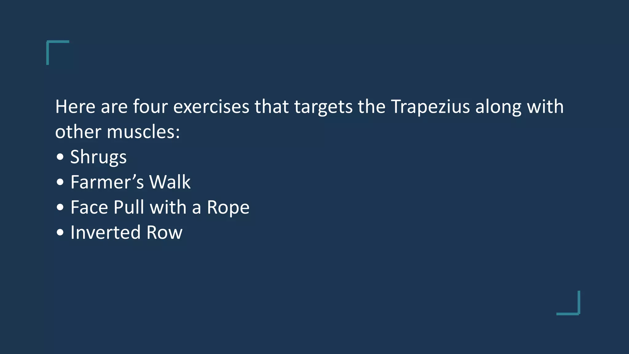 How to Train The Trapezius Muscle | PPTX