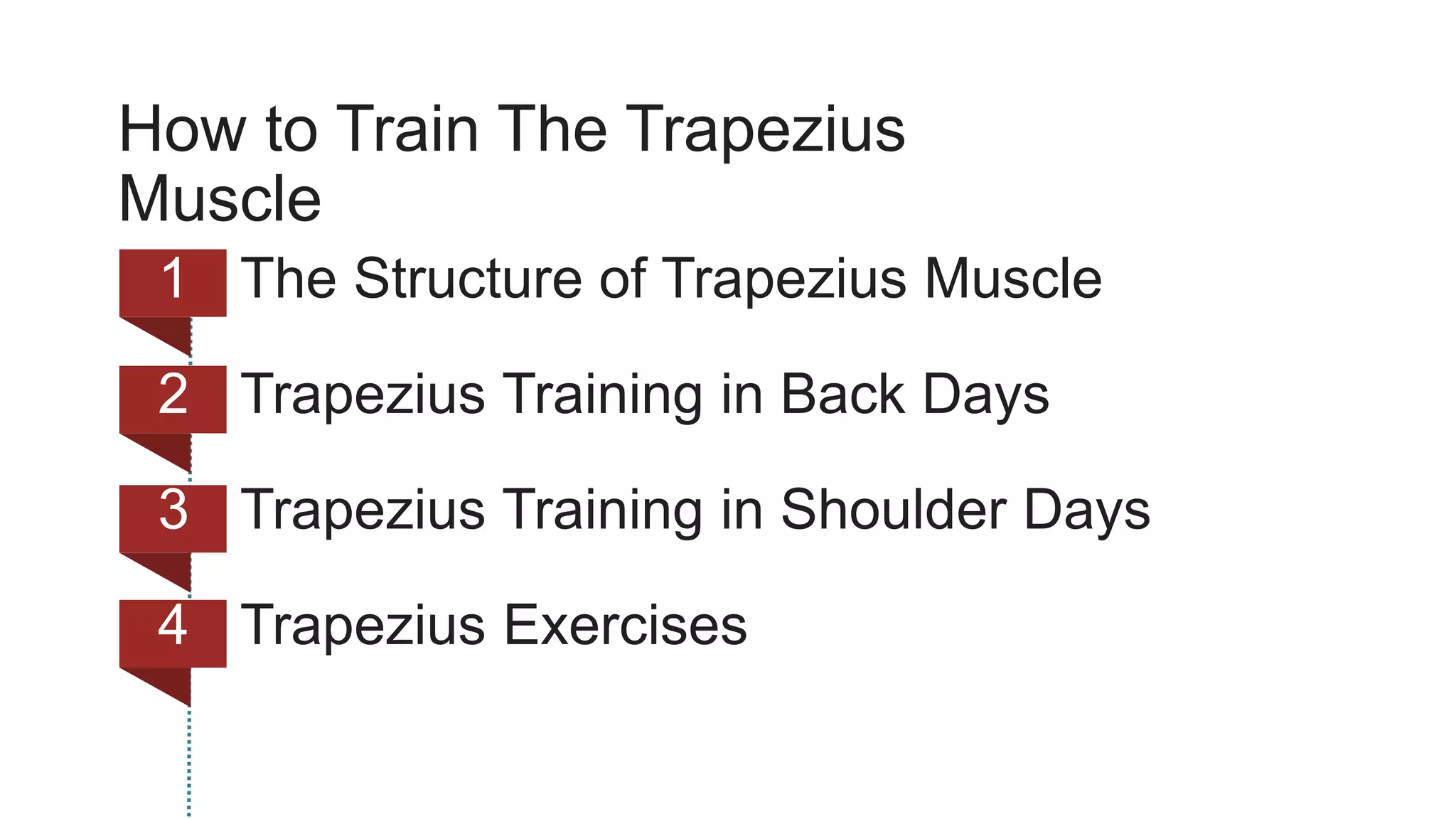 How to Train The Trapezius Muscle | PPTX