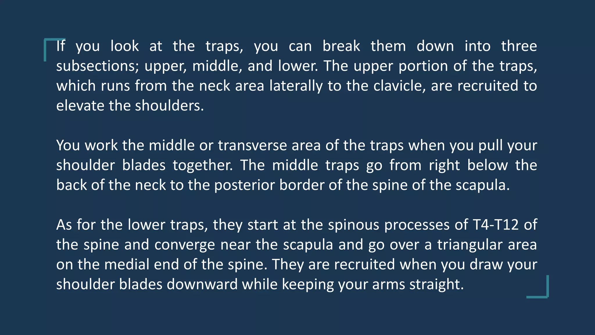 How to Train The Trapezius Muscle | PPTX
