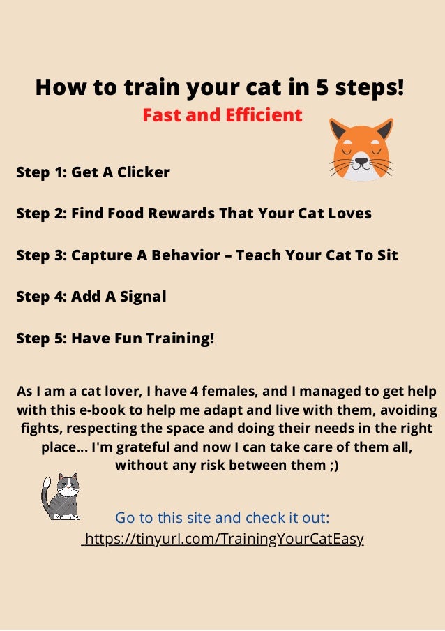 How to training your cat! | PDF