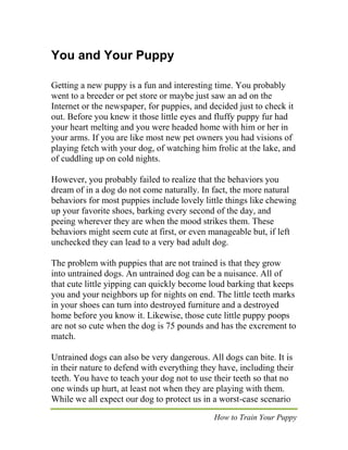 How to train your puppy | PDF