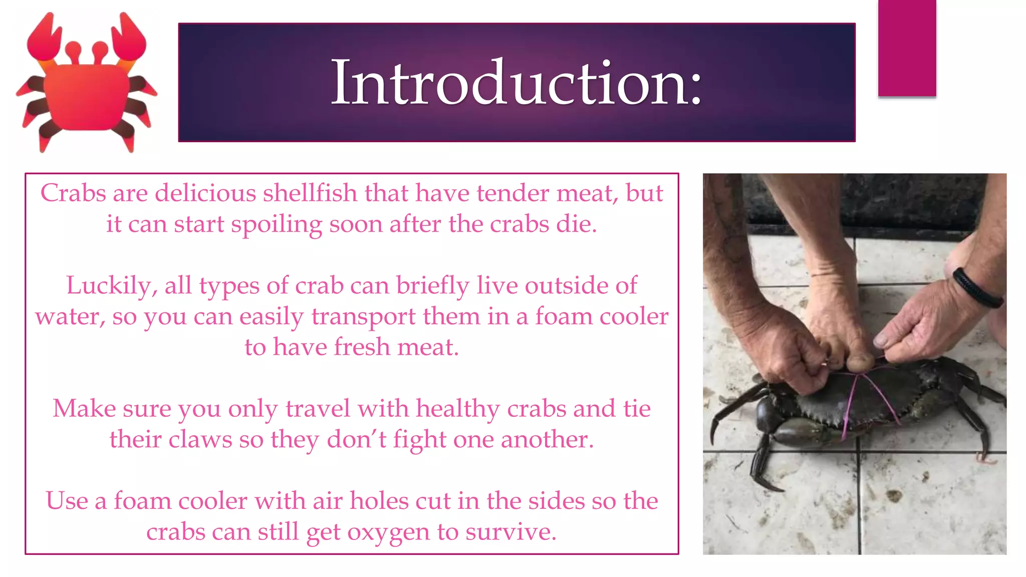 Transportation of live crab and their process | PPTX