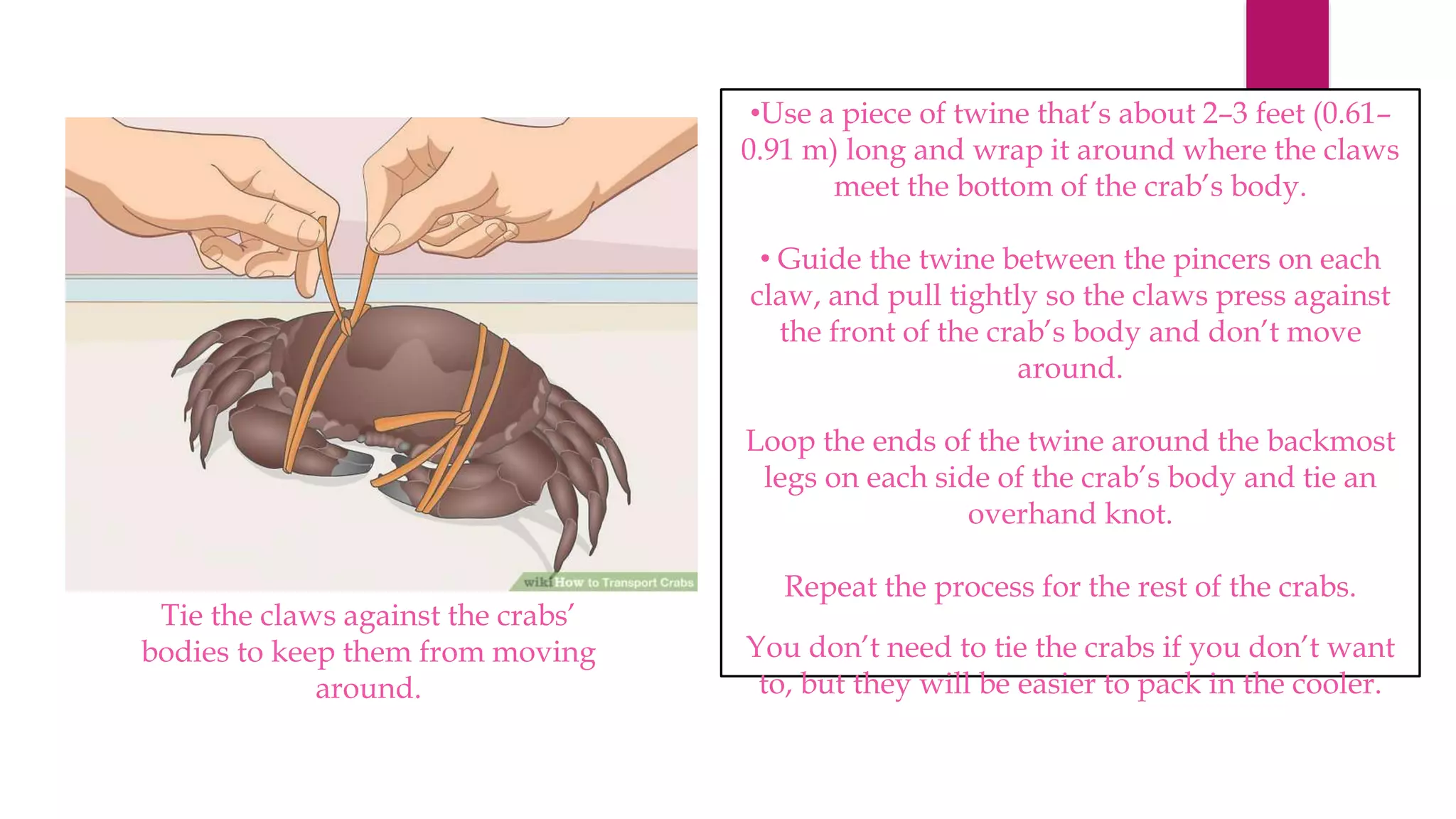 Transportation of live crab and their process | PPTX